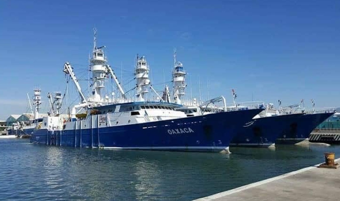 Inicia la Temporada de Pesca de Atún, Grupo Mar envió a la mar a sus 6 ...